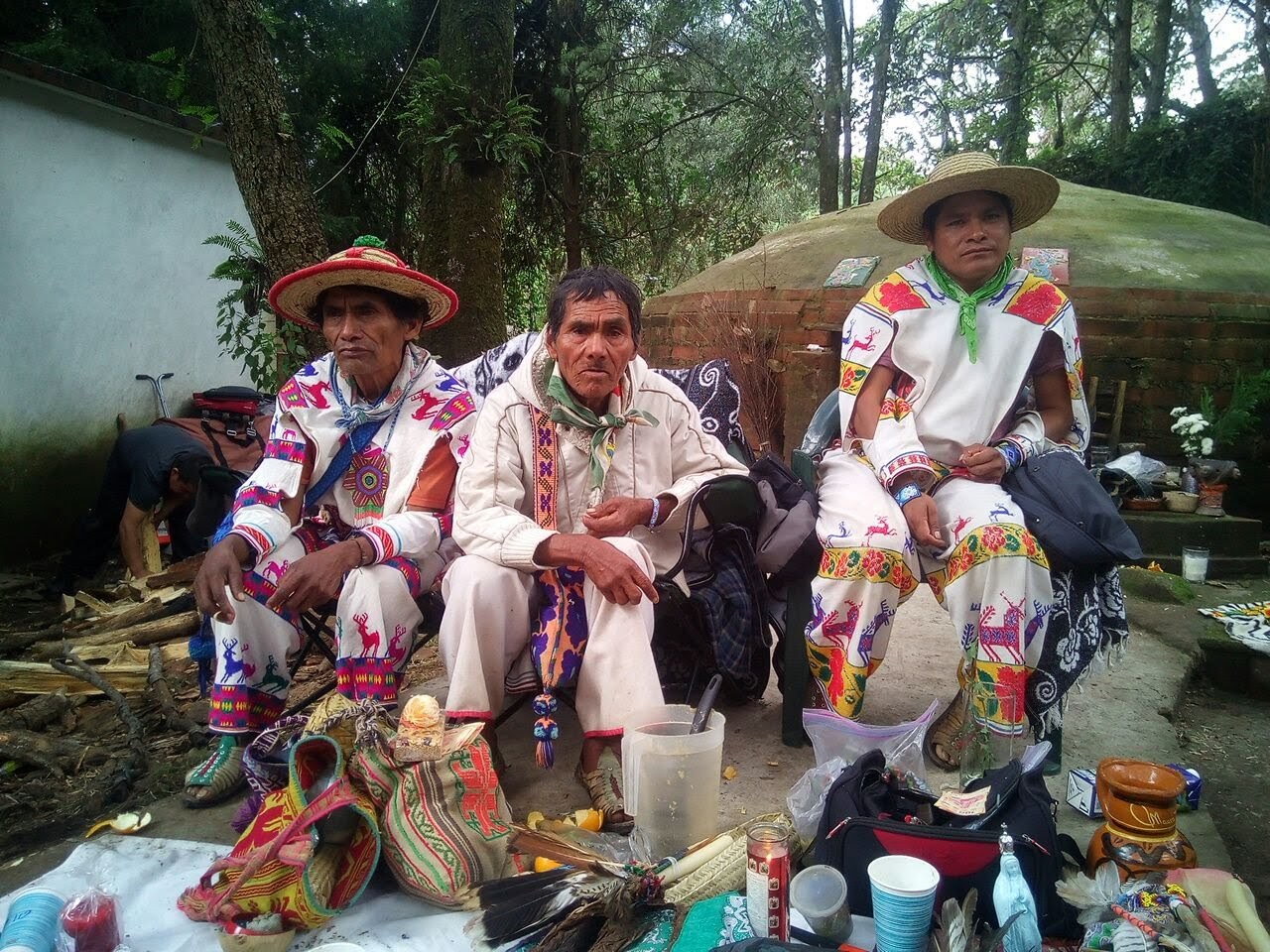 Spirit of the Blue Deer - Peyote Retreats